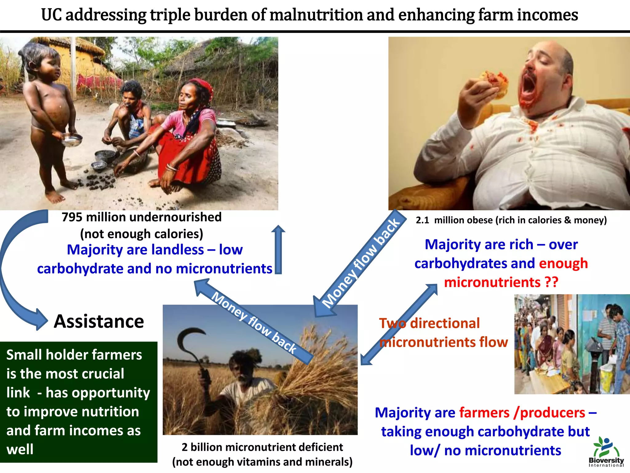 Underutilized Legumes: Global Status, Challenges and Opportunities for ...