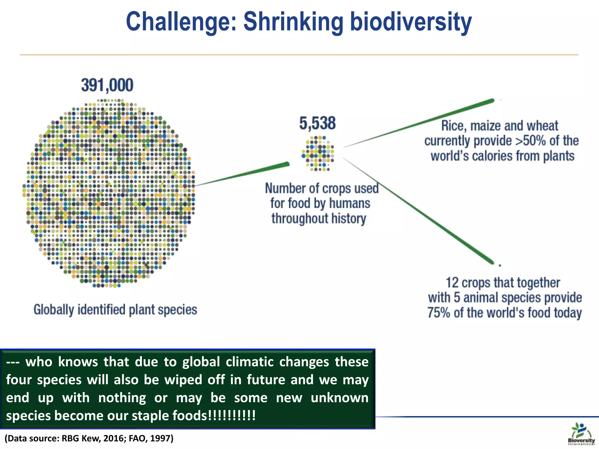 Underutilized Legumes: Global Status, Challenges and Opportunities for ...