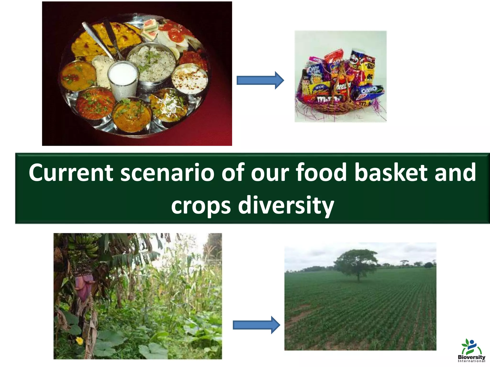 Underutilized Legumes: Global Status, Challenges and Opportunities for ...