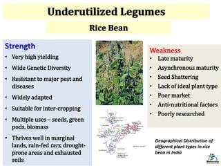 Underutilized Legumes: Global Status, Challenges and Opportunities for ...