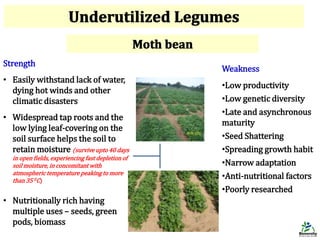 Underutilized Legumes: Global Status, Challenges and Opportunities for ...