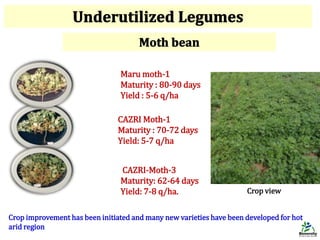 Underutilized Legumes: Global Status, Challenges and Opportunities for ...