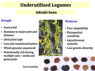 Underutilized Legumes: Global Status, Challenges and Opportunities for ...
