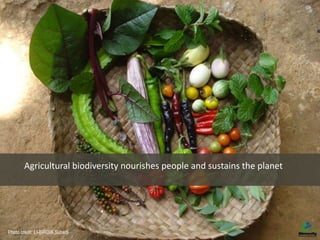 Underutilized Legumes: Global Status, Challenges and Opportunities for ...