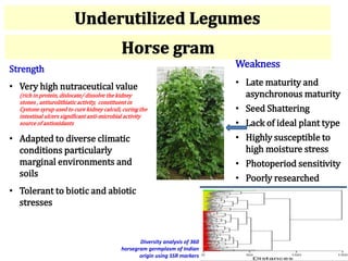 Underutilized Legumes: Global Status, Challenges and Opportunities for ...