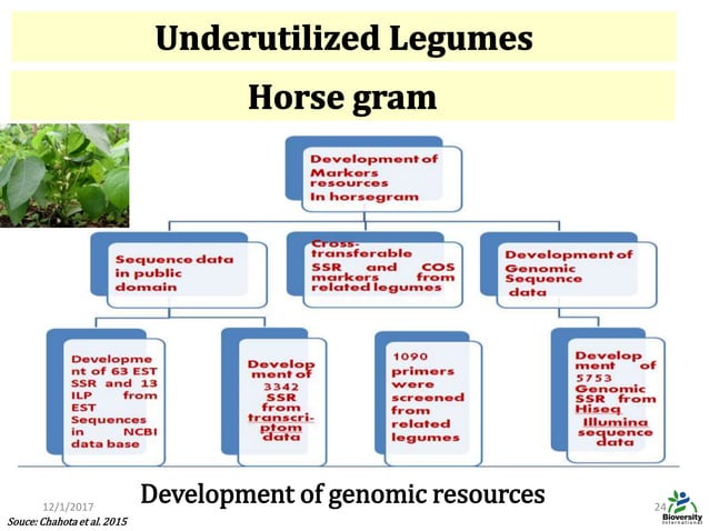 Underutilized Legumes: Global Status, Challenges and Opportunities for ...