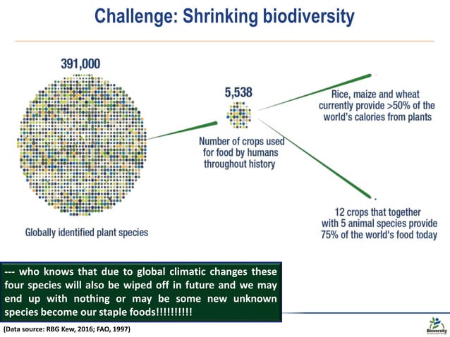 Underutilized Legumes: Global Status, Challenges and Opportunities for ...
