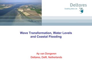 Wave Transformation, Water Levels and Coastal Flooding UFORIC | PPSX