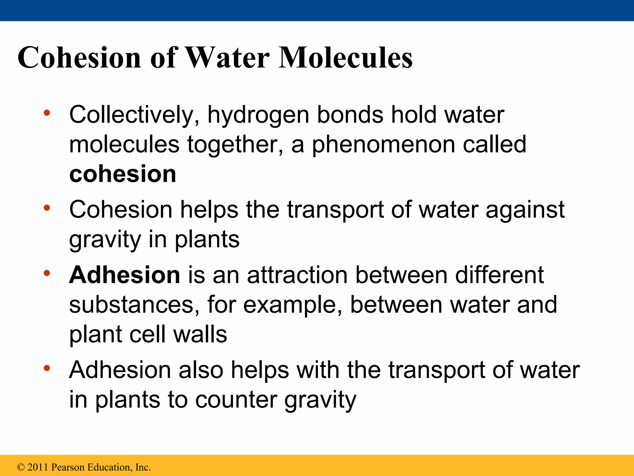 03 water and life | PPT