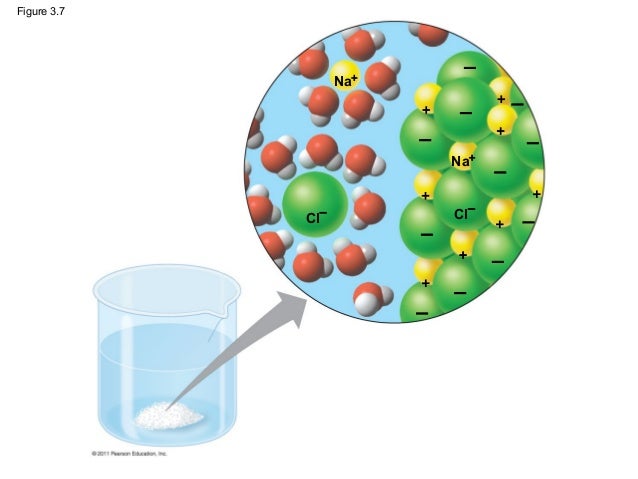 Waters (Properties of Water (Solvent of Life (Water is a versatile solvent…