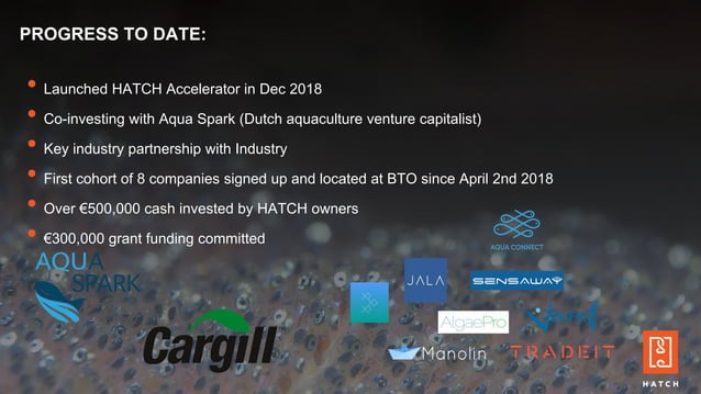 Hatch Blue - the world's first accelerator program for aquaculture @ First Tuesday Bergen | PPT
