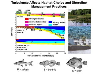 Living in a Turbulent World | PPT