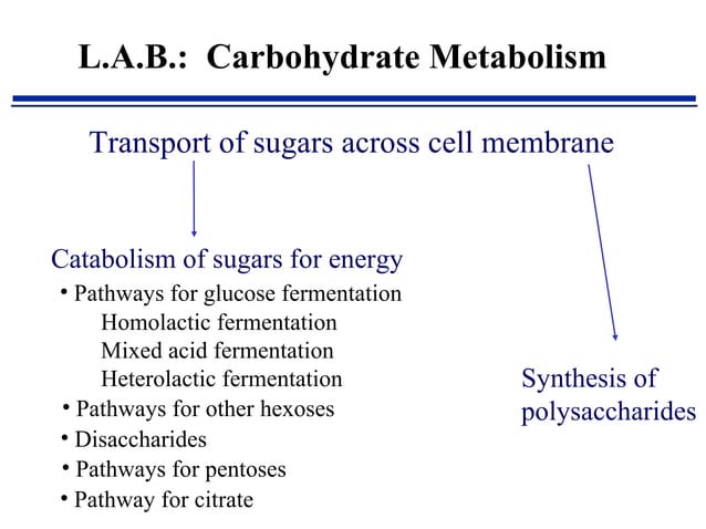 lab carbohydrate metabolism BY SOHAIL SARWAR from University of LHH | PPT