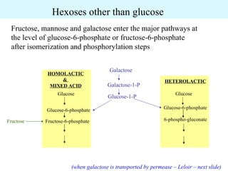 lab carbohydrate metabolism BY SOHAIL SARWAR from University of LHH | PPT