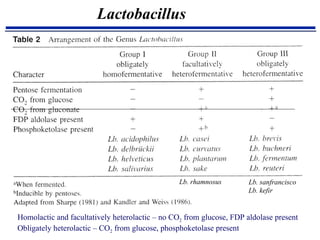 lab carbohydrate metabolism BY SOHAIL SARWAR from University of LHH | PPT