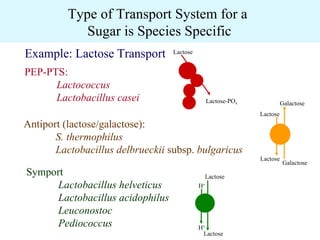 lab carbohydrate metabolism BY SOHAIL SARWAR from University of LHH | PPT