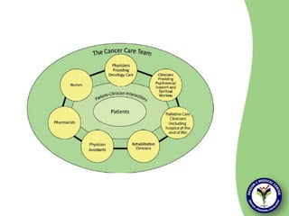 Defining Safety & Quality in Cancer Care | PDF