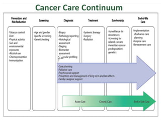 Defining Safety & Quality in Cancer Care | PDF