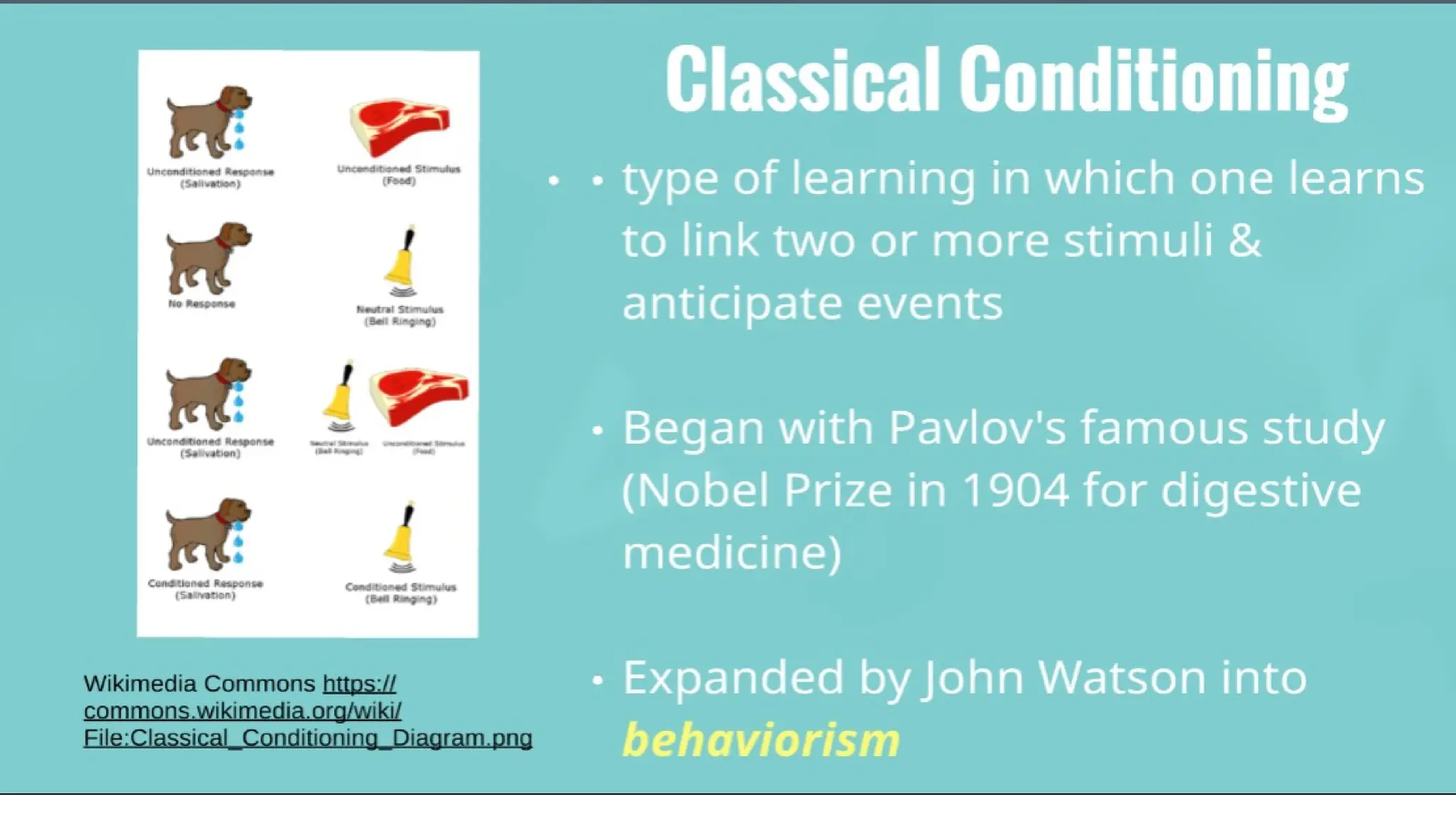 04-01 Learning & Classical Conditioning.pptx