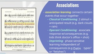 04-01 Learning & Classical Conditioning.pptx