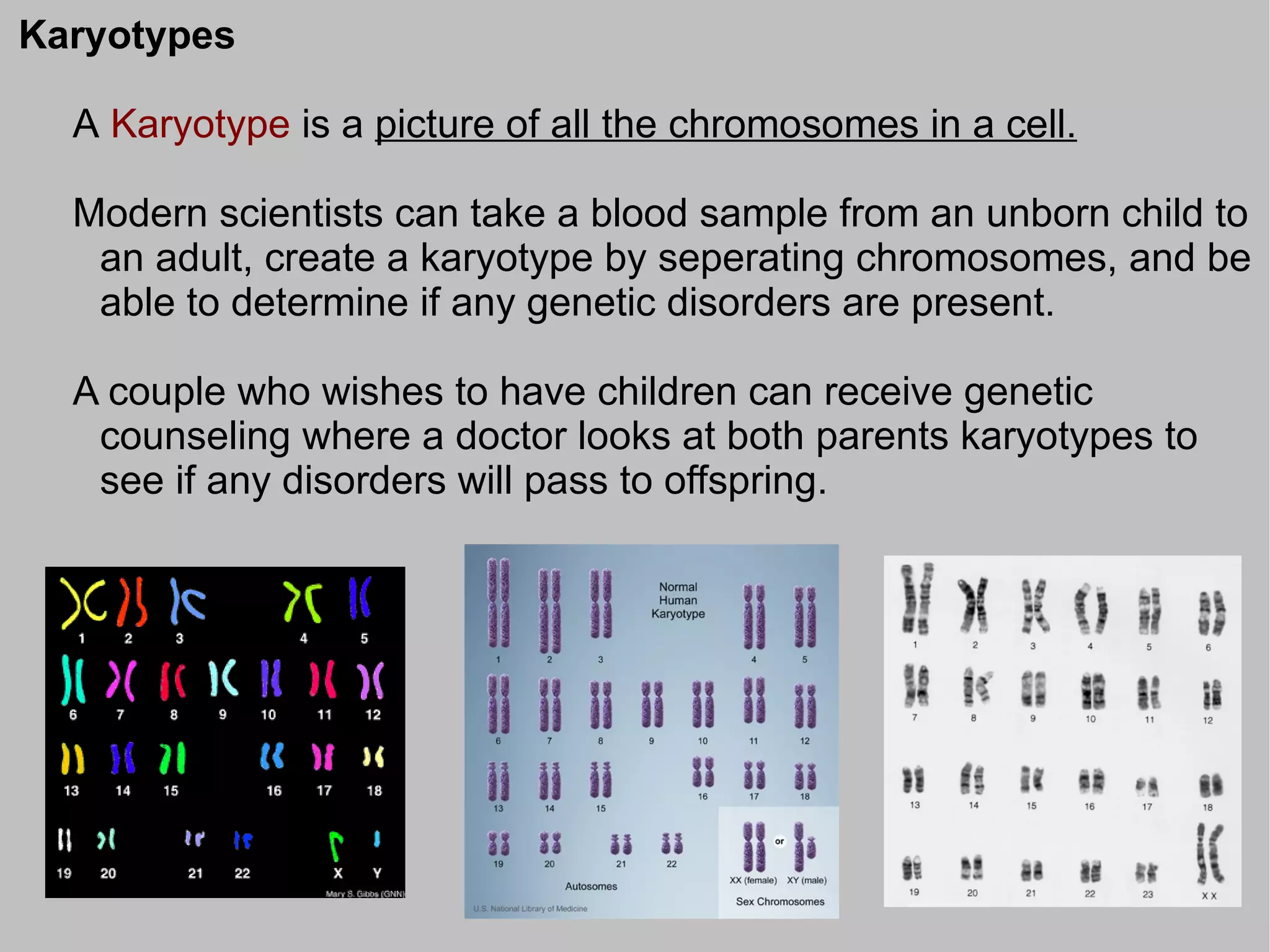 Human Inheritance & Genetic Disorders | ODP
