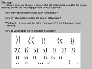 Human Inheritance & Genetic Disorders | ODP