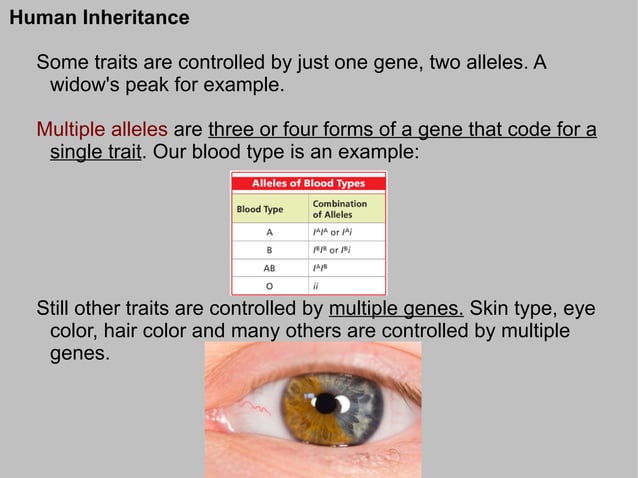 Human Inheritance & Genetic Disorders | ODP