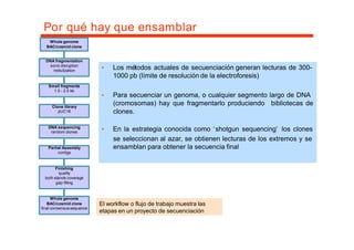 Secuenciación del ADN - Lectura del adn de los organismos | PPTX