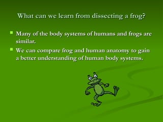 Presentation of Frog Dissection for all. | PPT