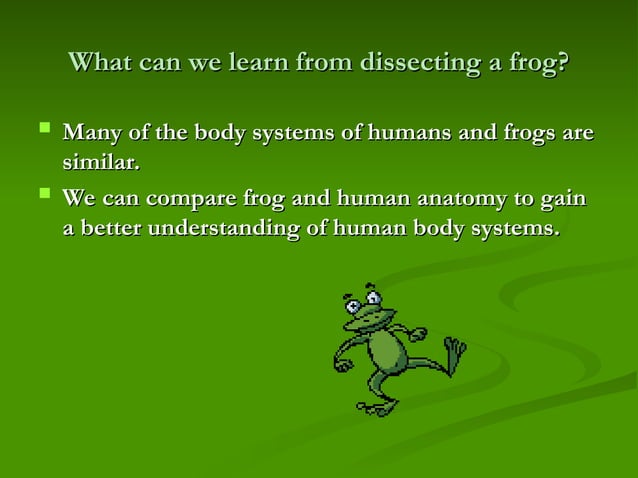 Presentation of Frog Dissection for all. | PPT | Free Download