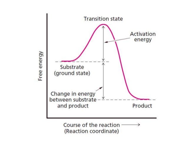 Mechanism of enzyme action