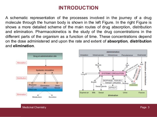 04.pharmacokinetics(1)