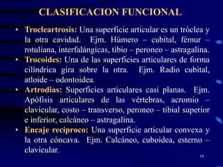 articulaciones | PPT
