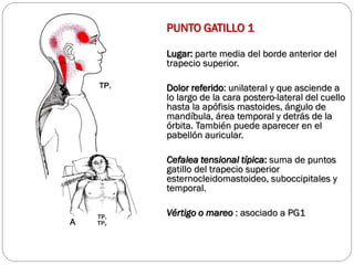 04. smf trapecio prv | PDF