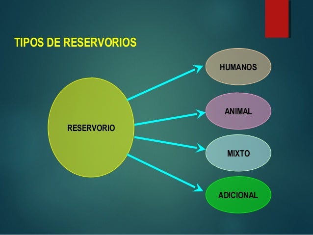 04.1 dr añaños epidemiologia de enfermedades transmisibles (1)