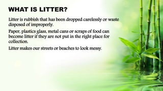 SUSTAINABILITY: WASTE AND LITTER | PPTX