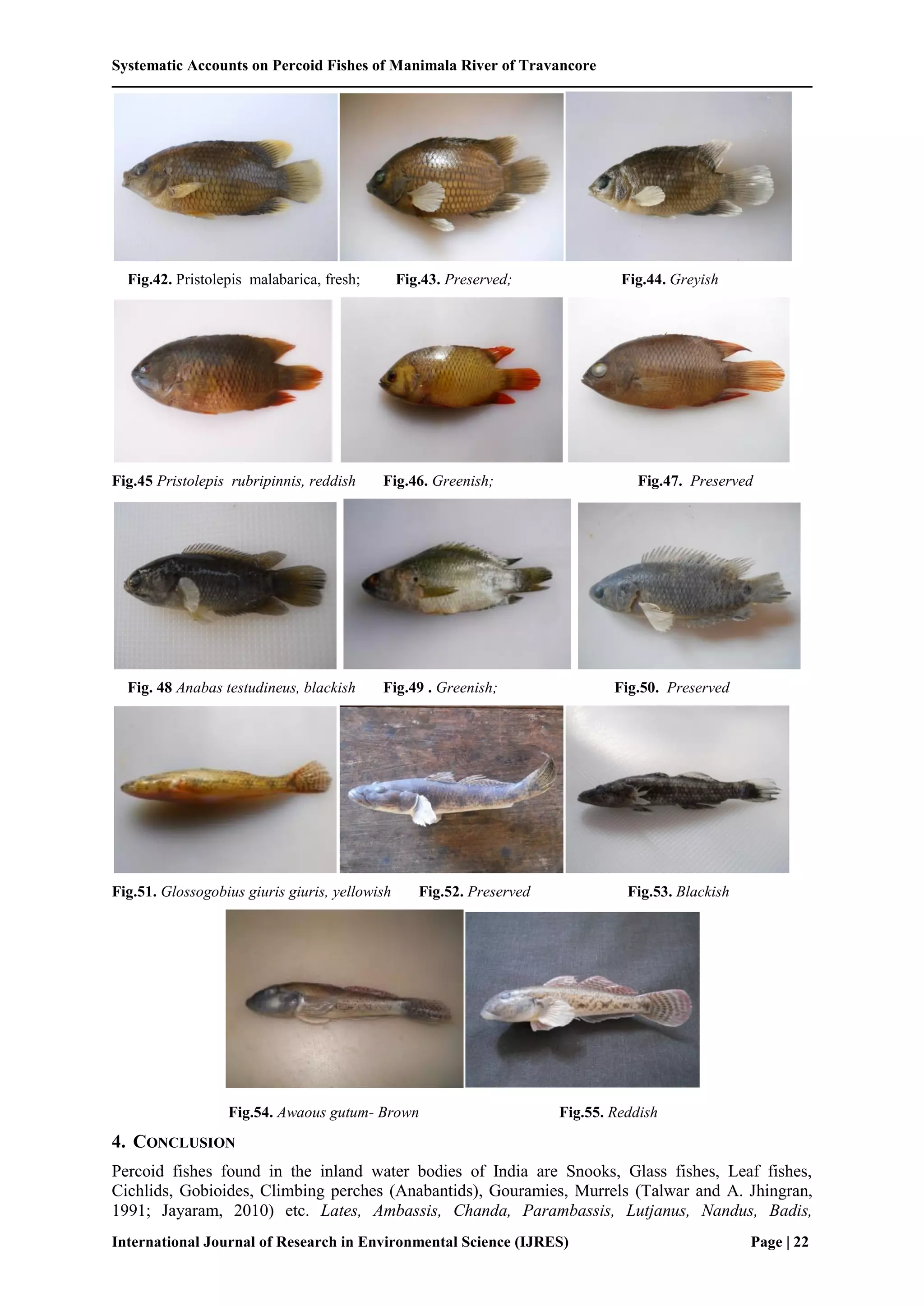 04.12.16. taxonomic notes on percoid fishes.. | PDF