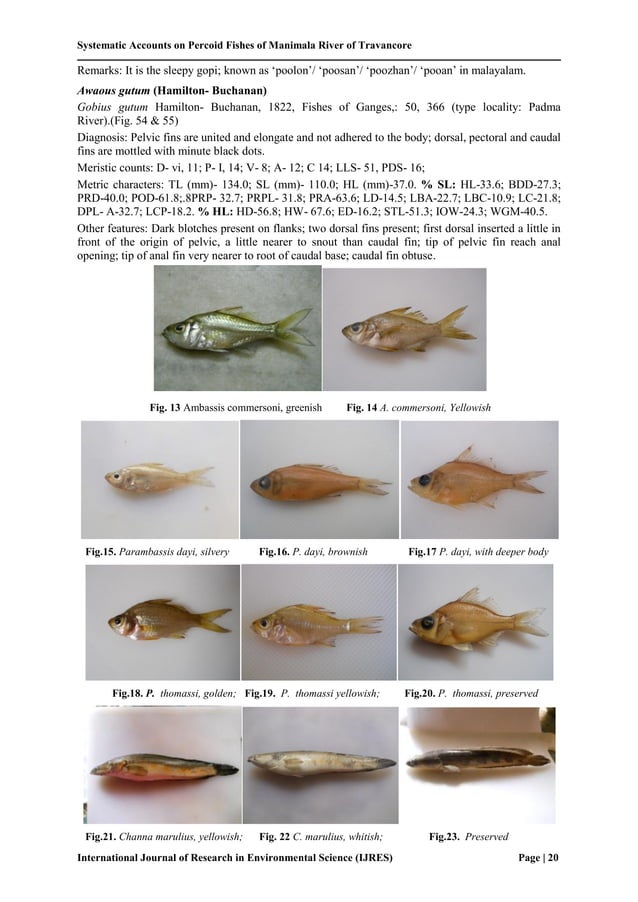 04.12.16. taxonomic notes on percoid fishes.. | PDF