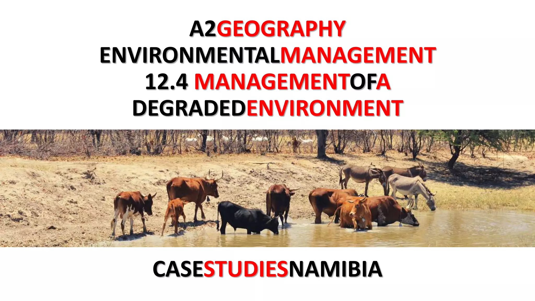 A2 CAMBRIDGE GEOGRAPHY: ENVIRONMENTAL MANAGEMENT - MANAGEMENT OF A ...