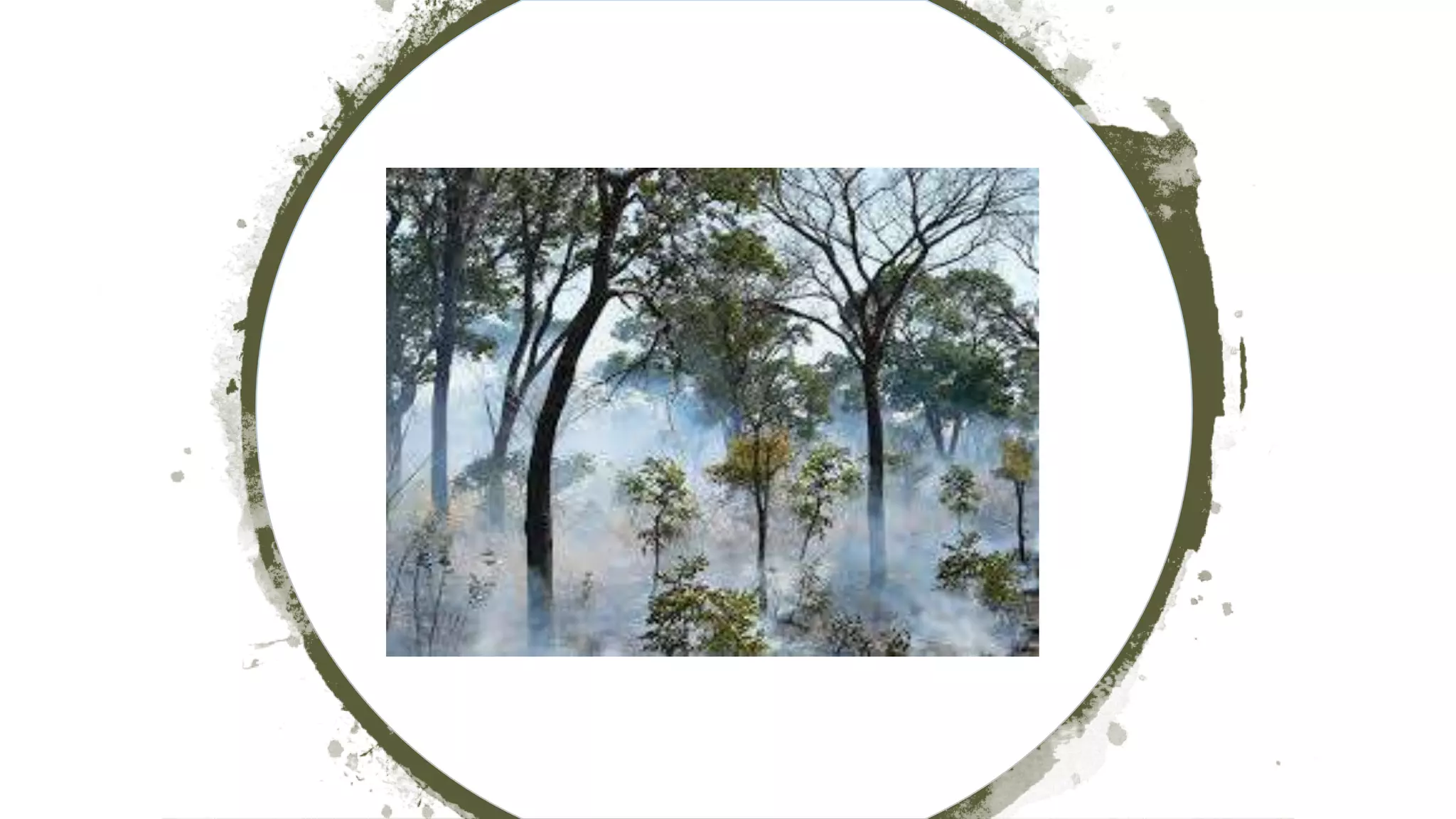 A2 CAMBRIDGE GEOGRAPHY: ENVIRONMENTAL MANAGEMENT - MANAGEMENT OF A ...