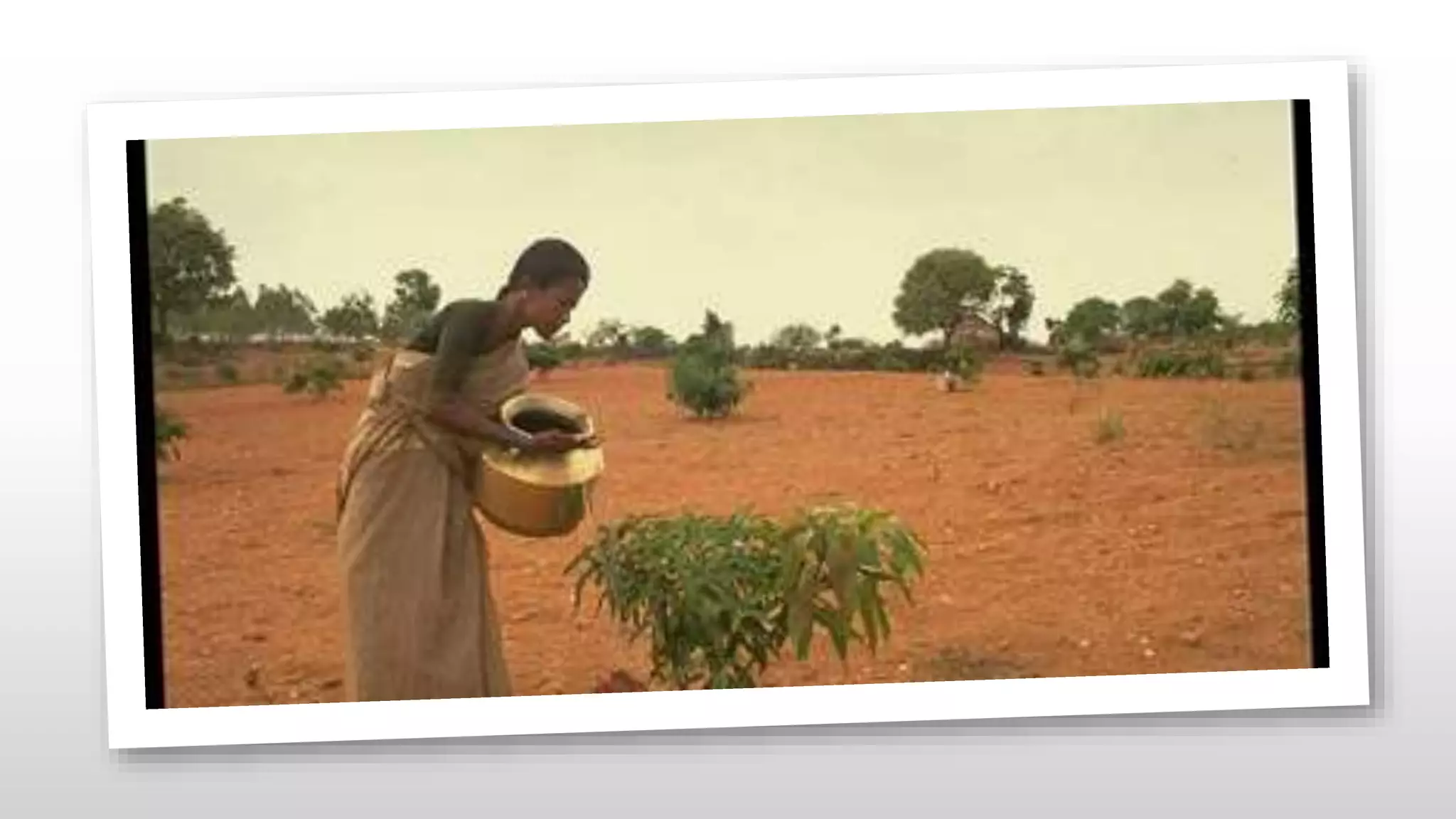 A2 CAMBRIDGE GEOGRAPHY: ENVIRONMENTAL MANAGEMENT - MANAGEMENT OF A ...