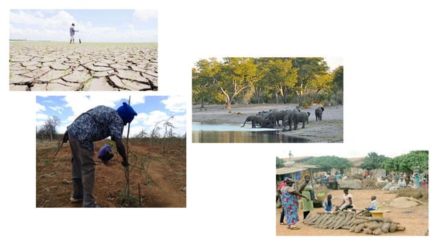 A2 CAMBRIDGE GEOGRAPHY: ENVIRONMENTAL MANAGEMENT - MANAGEMENT OF A ...