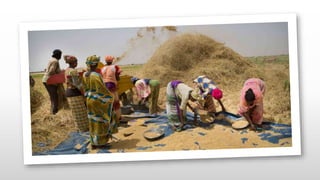 A2 CAMBRIDGE GEOGRAPHY: ENVIRONMENTAL MANAGEMENT - MANAGEMENT OF A ...