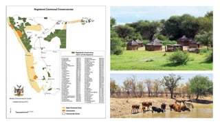 A2 CAMBRIDGE GEOGRAPHY: ENVIRONMENTAL MANAGEMENT - MANAGEMENT OF A ...