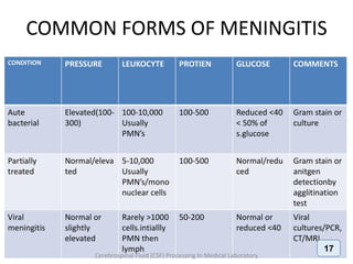 Meningitis In Csf Evaluation