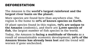 SUSTAINABILITY - THE DEFORESTATION OF THE AMAZON BASIN | PPTX