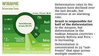 SUSTAINABILITY - THE DEFORESTATION OF THE AMAZON BASIN | PPTX