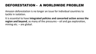 SUSTAINABILITY - THE DEFORESTATION OF THE AMAZON BASIN | PPT