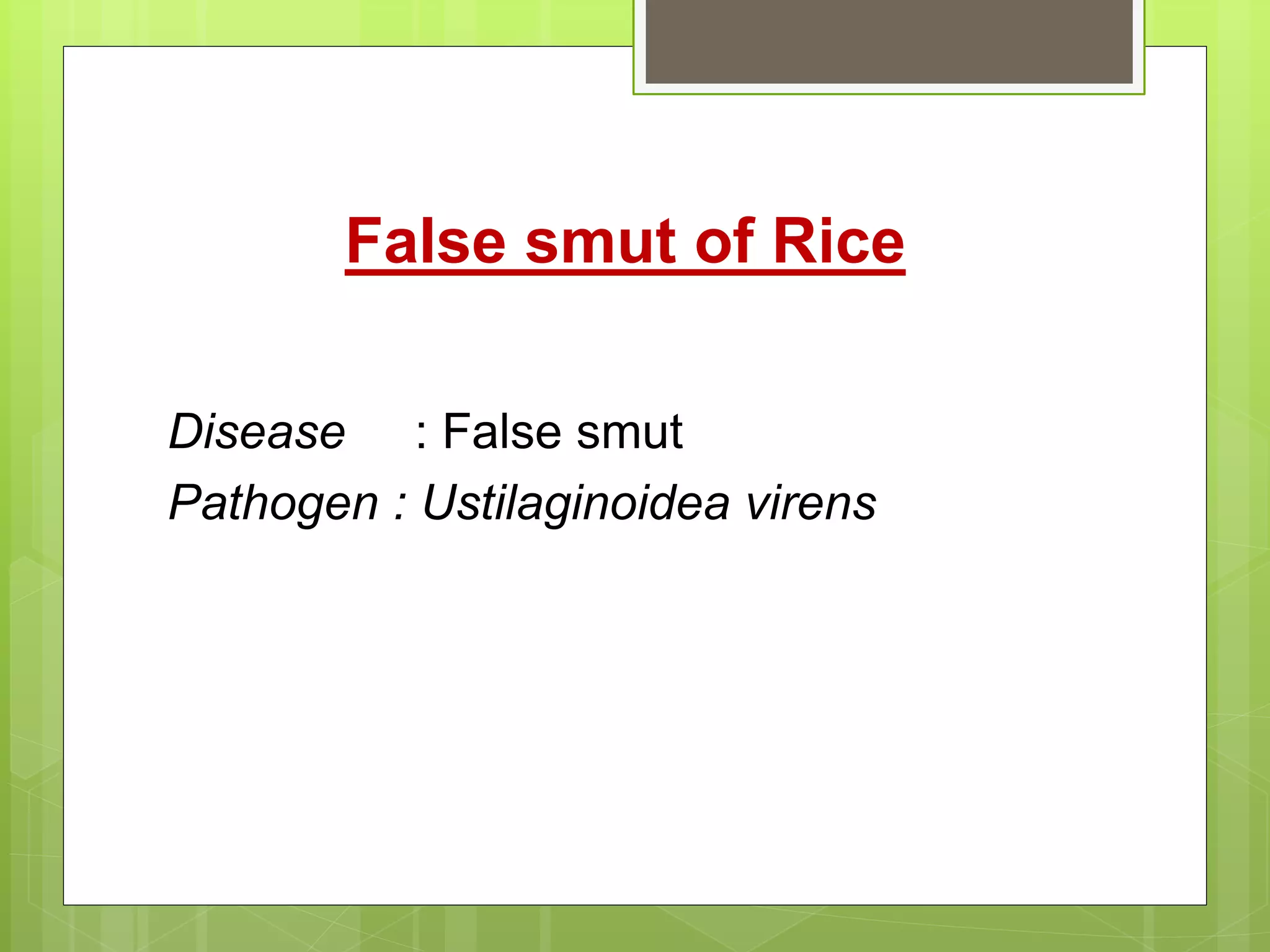 SHEATH BLIGHT,FALSE SMUT | PPTX