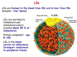 04. blood plasma proteins | PPT